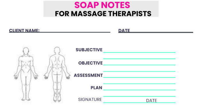 How To Write Massage Therapy Soap Notes In 2023 Examples Zolmi